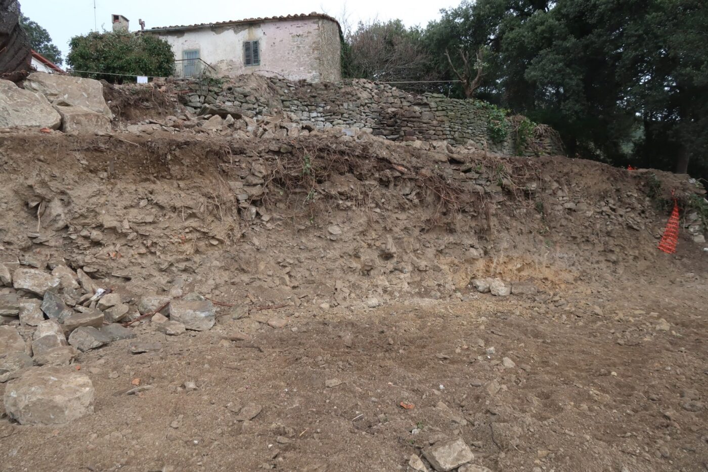 Mammi, non c'è traccia di autorizzazione. Agnelli: "Pronti a ...